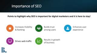 Search Engine Optimization Meaning Roadmap And Future Ppt