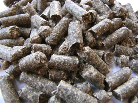 Sugar Beet Pulp Dehydrated Feedipedia