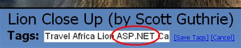 ScottGu S Blog Building A Photo Tagging Application Using ASP NET 2 0