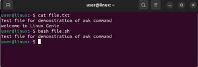 How To Use Awk Command In Bash Linux Genie