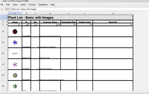 Using Plant Report To Create Basic Planting Key Troubleshooting Vectorworks Community Board