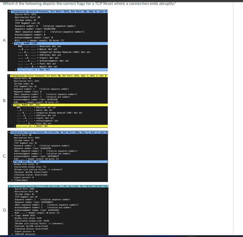 Solved Which If The Following Depicts The Correct Flags For