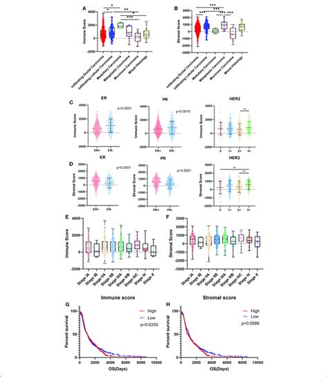 Immune Scores And Stromal Scores Are Associated With Breast Cancer