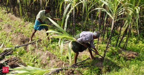 Kharif Sowing Crosses 968 Lakh Hectare Mark The Economic Times