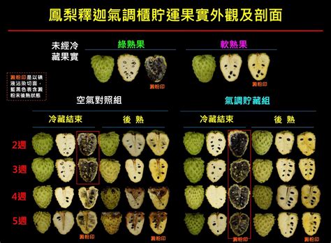 鳳梨釋迦長程貯運技術 One On One Matching商務媒合平台