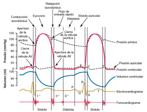 The Diagram Shows An Image Of Various Waves And Their Amplitudes
