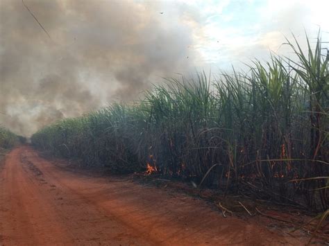 Incêndio Destrói Diversas Plantações Agrícolas Na Zona Rural De