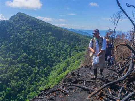 Crecen Incendios Forestales En La Amazonía Peruana Diario Voces