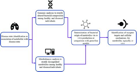 a generalized workflow for metabolite detection based on commonalities