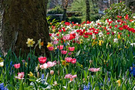 Groot – Bijgaarden Castle and Gardens Photos. | ACM Photography