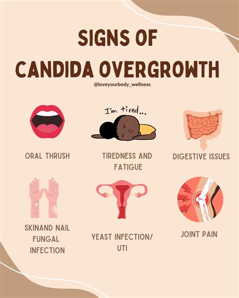 Best 13 Candida Overgrowth In Your Body Causes And Symptoms Artofit