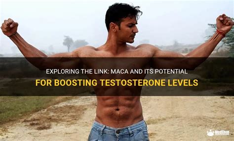 Exploring The Link Maca And Its Potential For Boosting Testosterone
