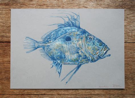 Artist Duncan Cameron On Collecting And Drawing The Arty Teacher