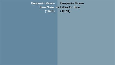 Benjamin Moore Blue Nose Vs Labrador Blue Side By Side Comparison