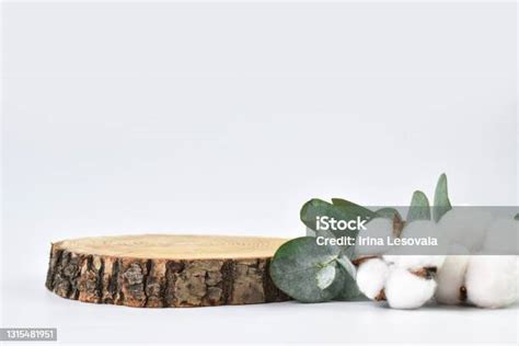 제품 프리젠 테이션을위한 빈 연단 유칼립투스의 가지 옆에 있는 나무의 미니멀한 장면 피부와 바디 케어를 위한 친환경 유기농 천연 화장품 공간을 복사합니다 1위에 대한 스톡