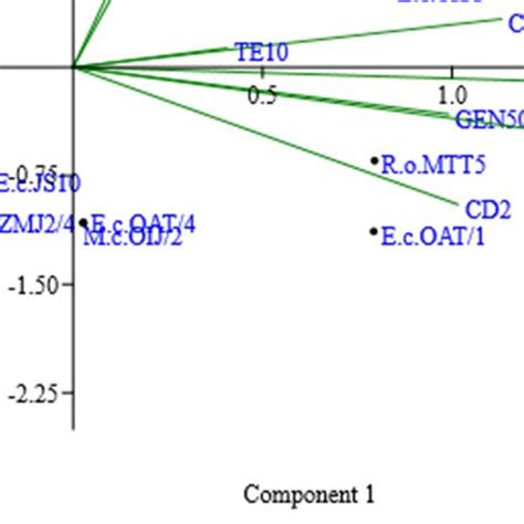 PCA Of Antibiotic Resistant And Sensitive Bacterial Strains Isolated Download Scientific