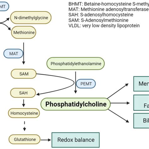 Multipleselected Reaction Monitoring Mrmsrm And Parallel Reaction Download Scientific