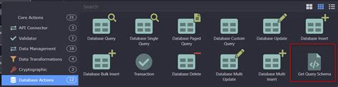 Get Schema From Query Custom Node Module Returns The Schema Field