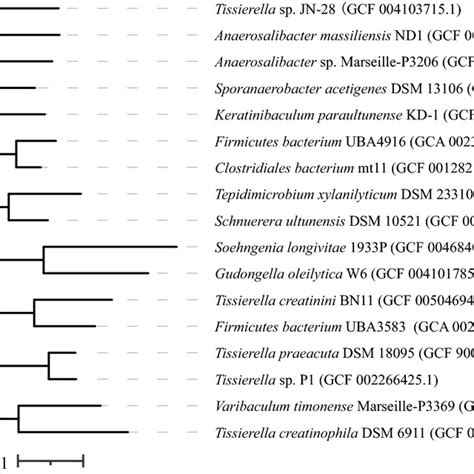 Metabolic Pathway Map Based On Kegg Database The Black Arrows In The
