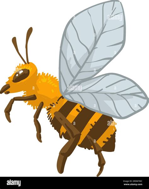 Orange Black Insect Pollen Pollination Pollinator Stock Vector Images