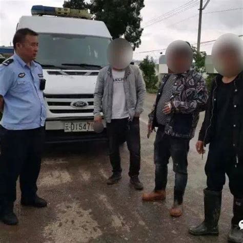 未经批准举行斗牛比赛！曲靖8人被处罚、刑拘！防控窦某华张某飞