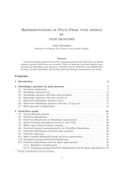 Representations Of Pauli Fierz Type Models By Path Measures