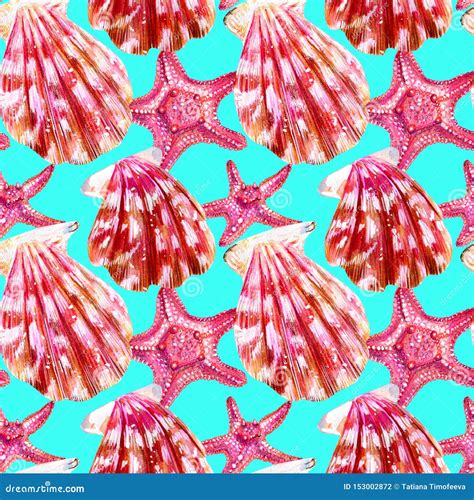 Seamless Pattern Of Scallop Shells Stock Illustration Illustration Of