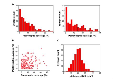 Astrocyte Related Geometric Parameters Of The 208 Investigated