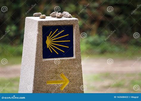 Yellow Scallop Shell Touristic Symbol Of The Camino De Santiago