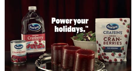 Ocean Spray Jellied Cranberry Sauce