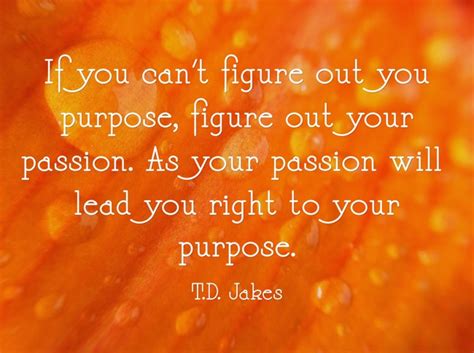 If You Cant Figure Out You Purpose Figure Out Your Quozio