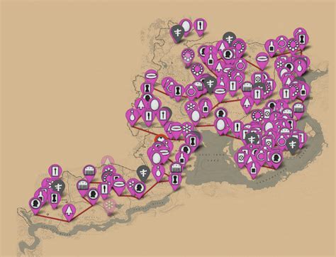 Collector Map Rdo