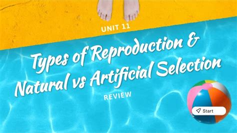 Unit 11 Review