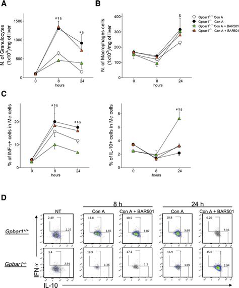 Effects Of Bar501 Administration On Macrophages Cells Acute Hepatitis