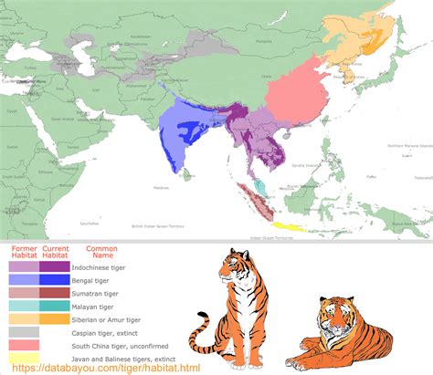 Tiger Subspecies Habitat Map