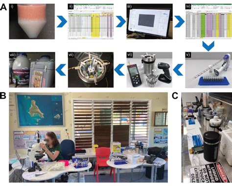 A Semi Automated Workflow For The Cryopreservation Of Coral Sperm To