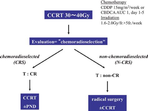 Algorithm Based Chemoradioselection Treatment Protocol Ccrt