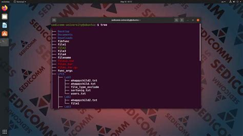 Comment Voir La Structure Du Système De Fichiers Sous Linux Les