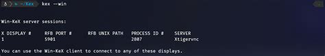 Kali Linux Wsl2 Cannot Execute Windows Binaries Due To Systemd · Issue