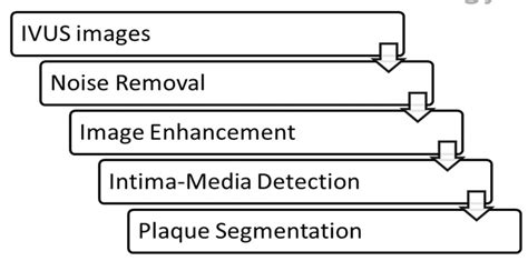 Flow Diagram Of Plaque Segmentation In Ivus Image Download Scientific
