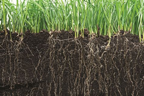 The Complete Farmer S Guide To Humics Humic Acid And Fulvic Acid Monty S Plant Food