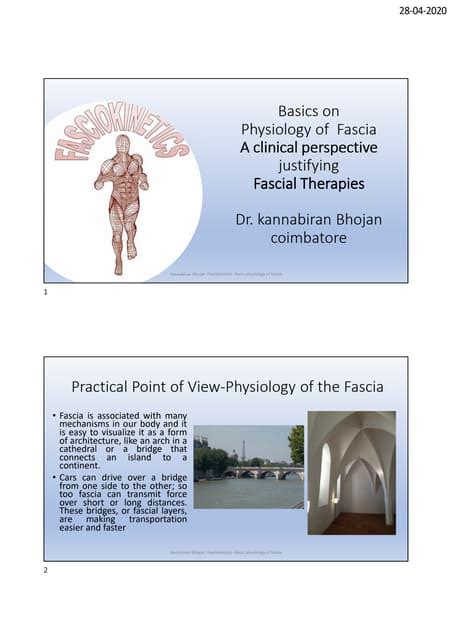 Physiology Of Fascia Pdf