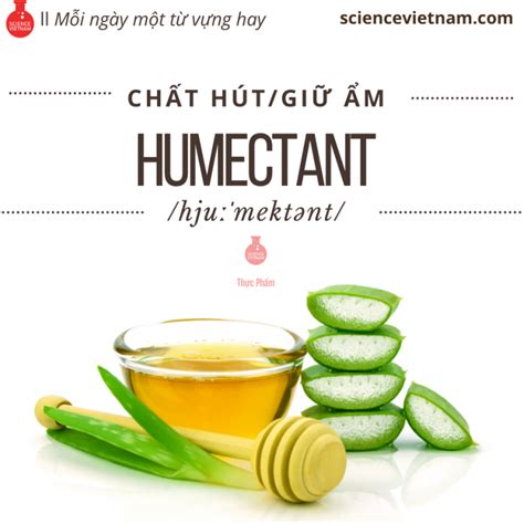 Humectant Science Vietnam