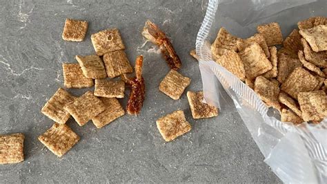 Internet Lore Did Topangas Husband Really Find Shrimp In Cinnamon