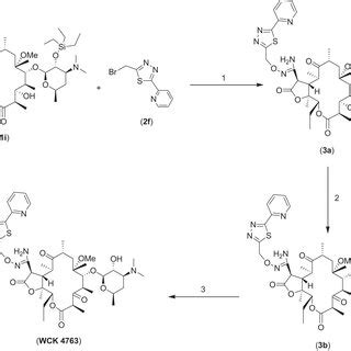 Synthesis Of Amidoxime Core Intermediate Conditions TES Cl DMAP Download Scientific