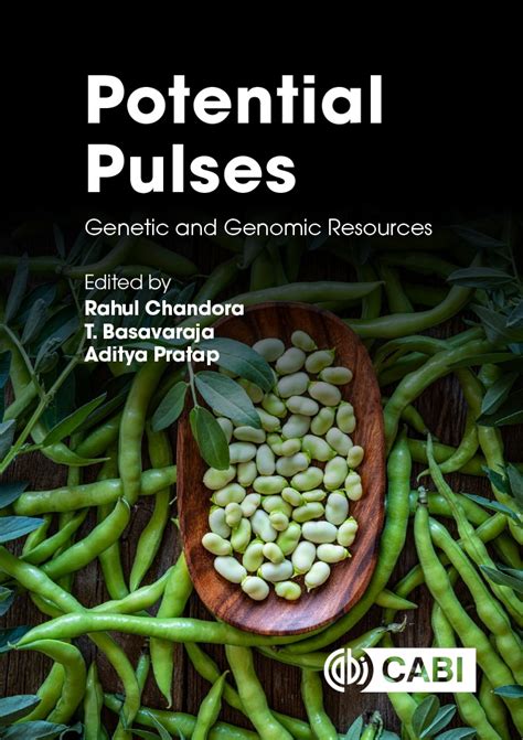 Cluster Bean Cyamopsis Tetragonoloba Potential Pulses