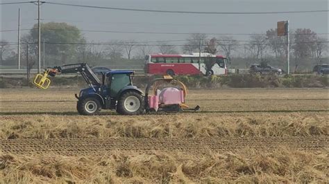 공룡알만드는과정 Youtube