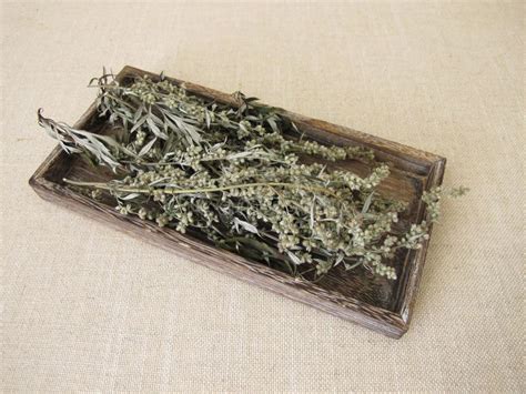 Dried Mugwort On A Small Tray Stock Image Image Of Small Ingredient