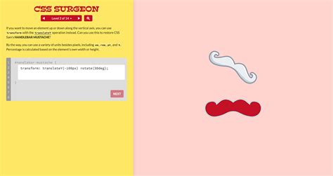 Css Surgeon A Game For Learning To Scale Rotate And Move Elements