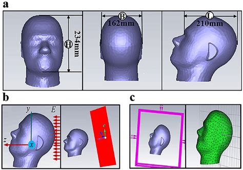 The Sam Model And Simulation Scene A Outer Shape And Size Of The Sam